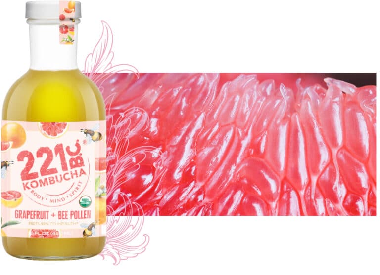 Kombucha Flavors - Kombucha 221 BC