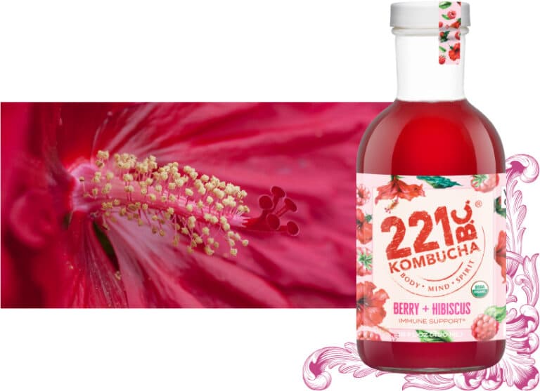 Kombucha Flavors - Kombucha 221 BC