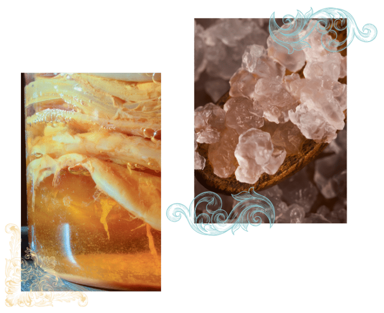 Kombucha and Water Kefir Help You Balance From Within - Kombucha 221 BC