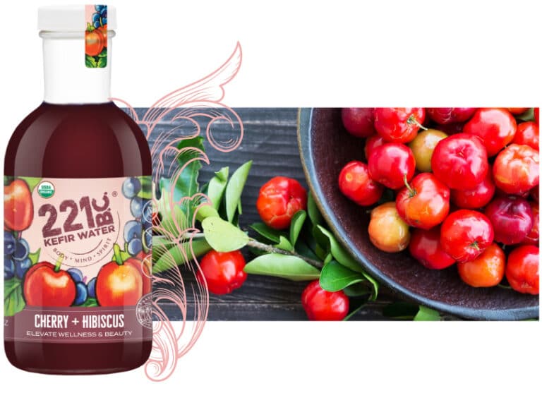 Kombucha Flavors - Kombucha 221 BC