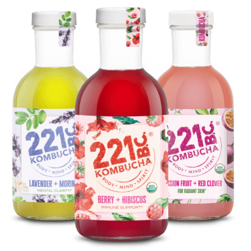 Probiotic Drinks Help You Balance From Within - Kombucha 221 BC