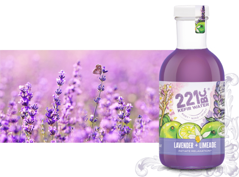 Kombucha Flavors - Kombucha 221 BC